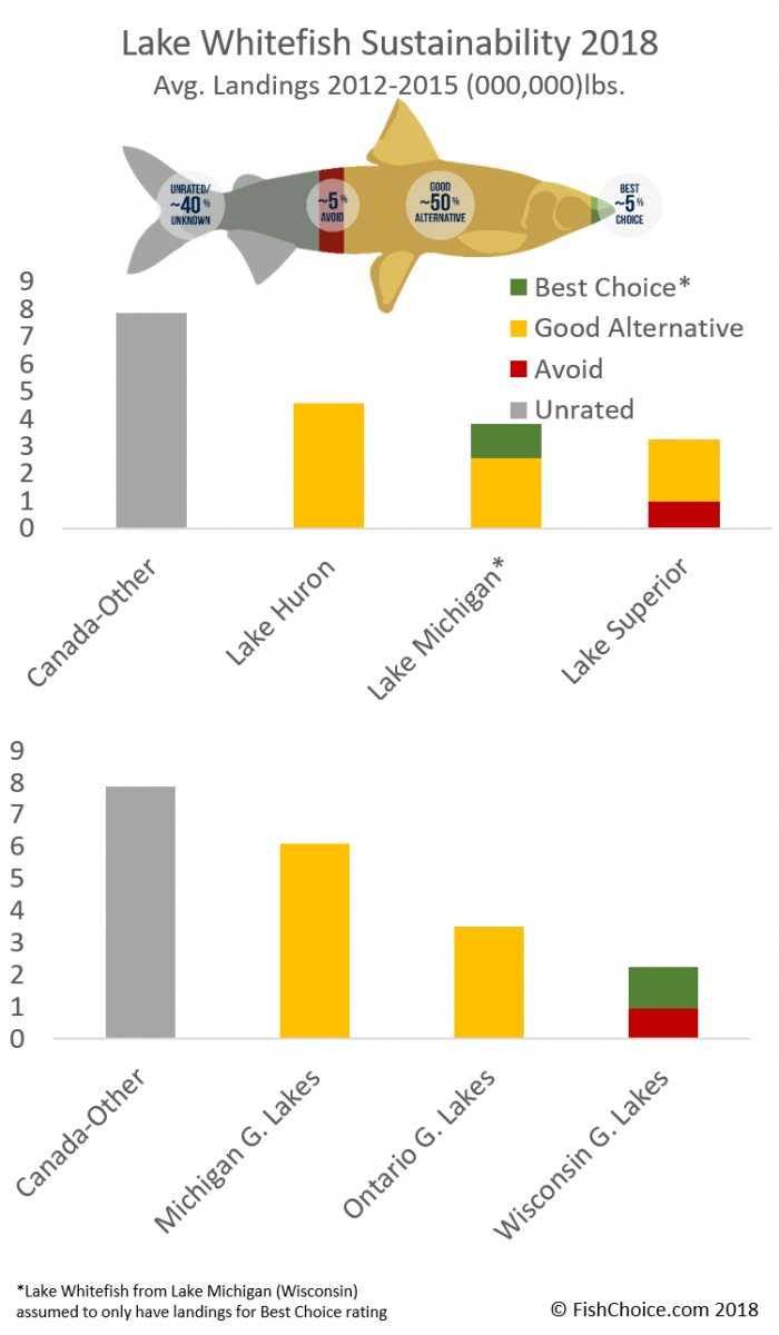 Lake Whitefish | FishChoice