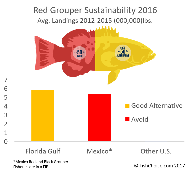 Red Grouper | FishChoice
