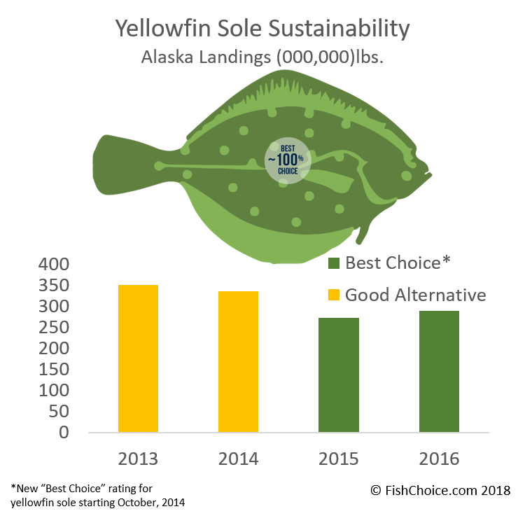 Yellowfin Sole | FishChoice